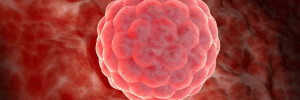 Quels sont les symptômes de nidation ? - WoMum